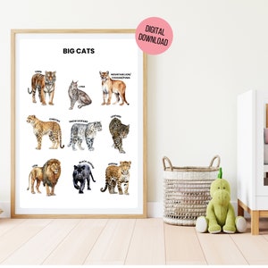 Big Cats Watercolor Poster, Wild Cats, Jungle, Homeschool Printable ...