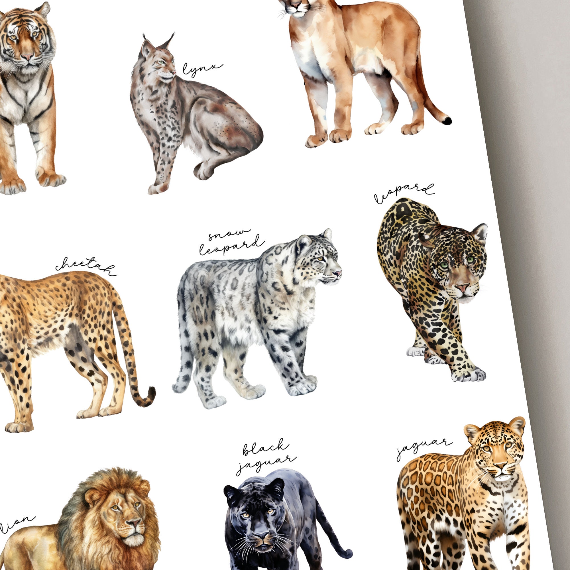 Big Cats Watercolor Poster Wild Cats Jungle Homeschool - Etsy