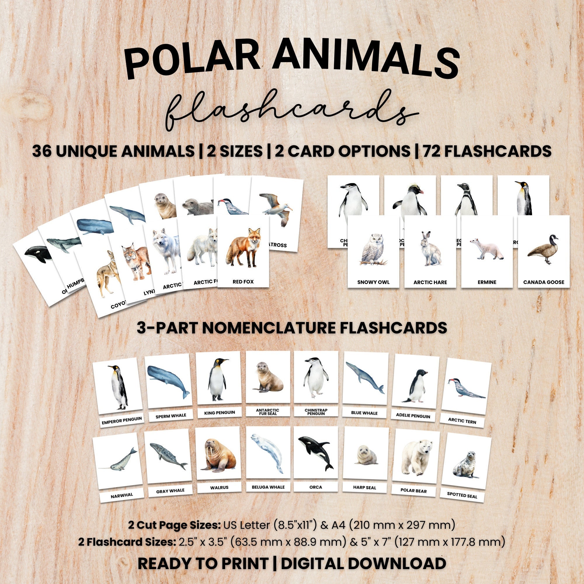 Watercolor Polar Animals Flashcards: Montessori Learning (digital ...