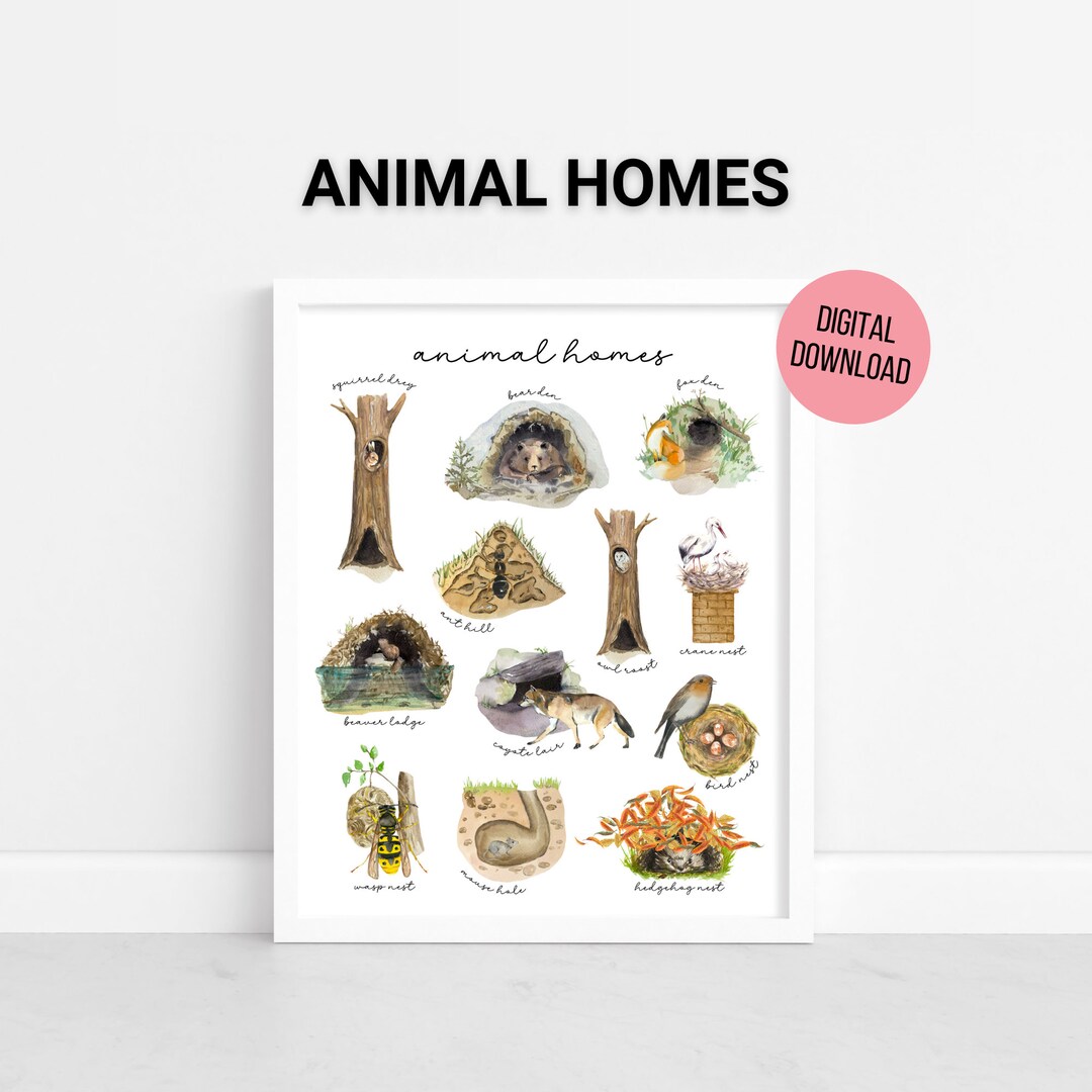 Watercolor Animal Homes & Habitats Poster, Homeschool Printable, Nature ...