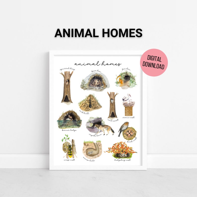 Watercolor Animal Homes & Habitats Poster, Homeschool Printable, Nature ...