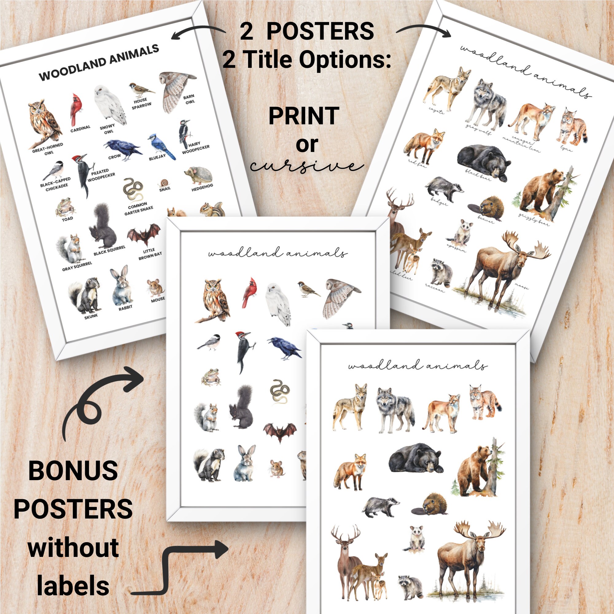 Watercolor Woodland Animals Posters Homeschool Printable - Etsy