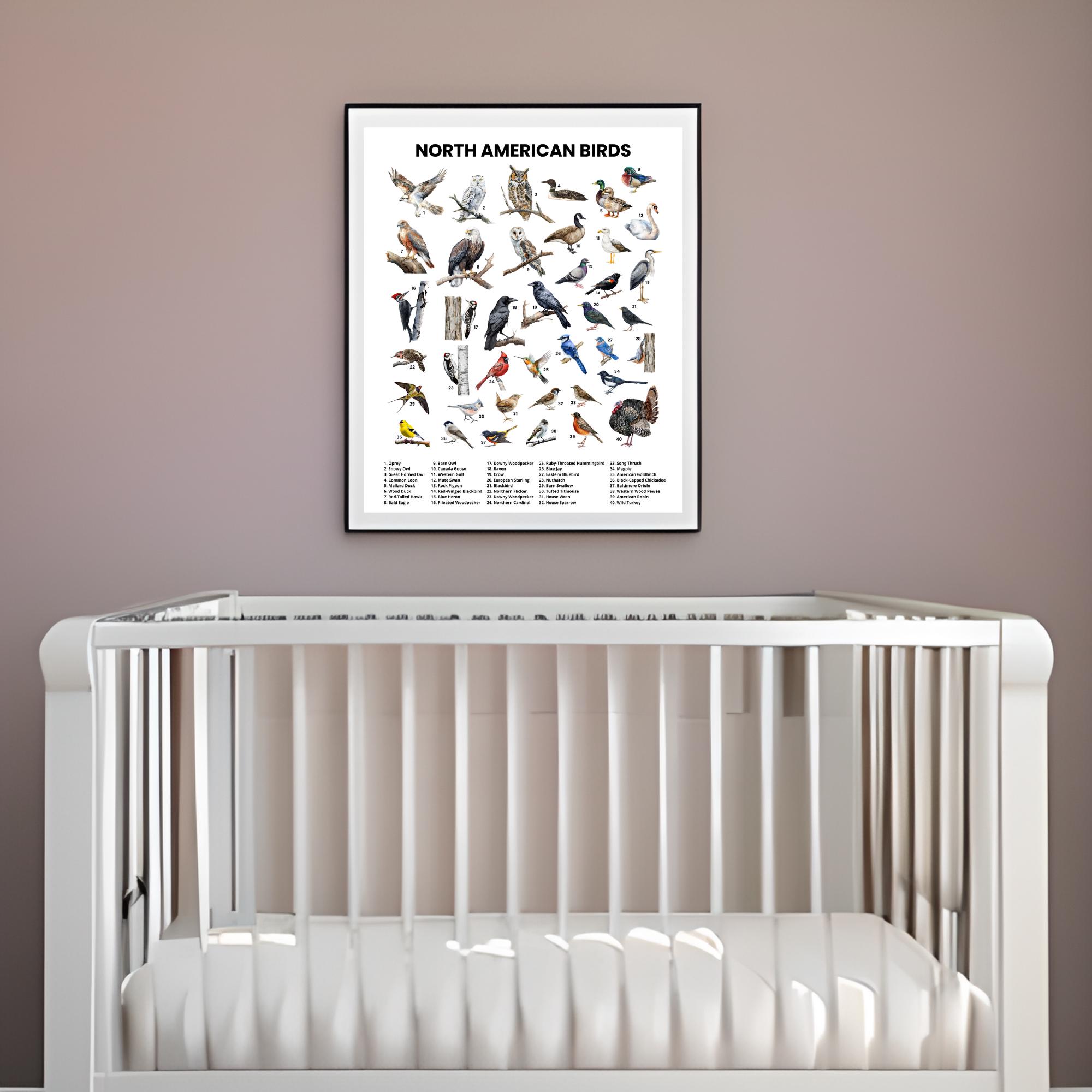 Watercolor North American Birds Poster: Homeschool Science Art (digital ...