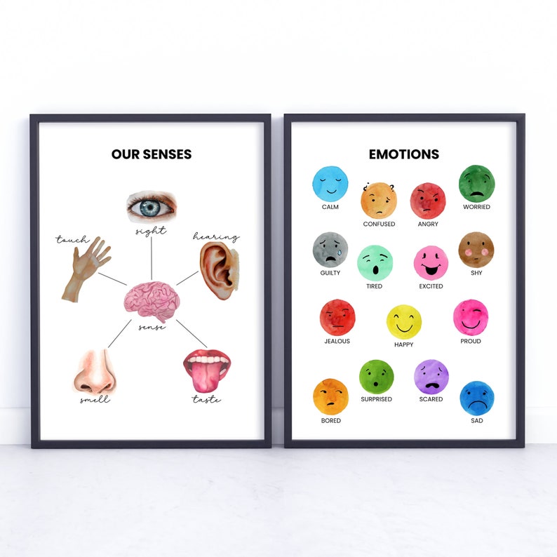 Body, Organs, Senses & Emotions - Set of 4 Watercolor Posters ...