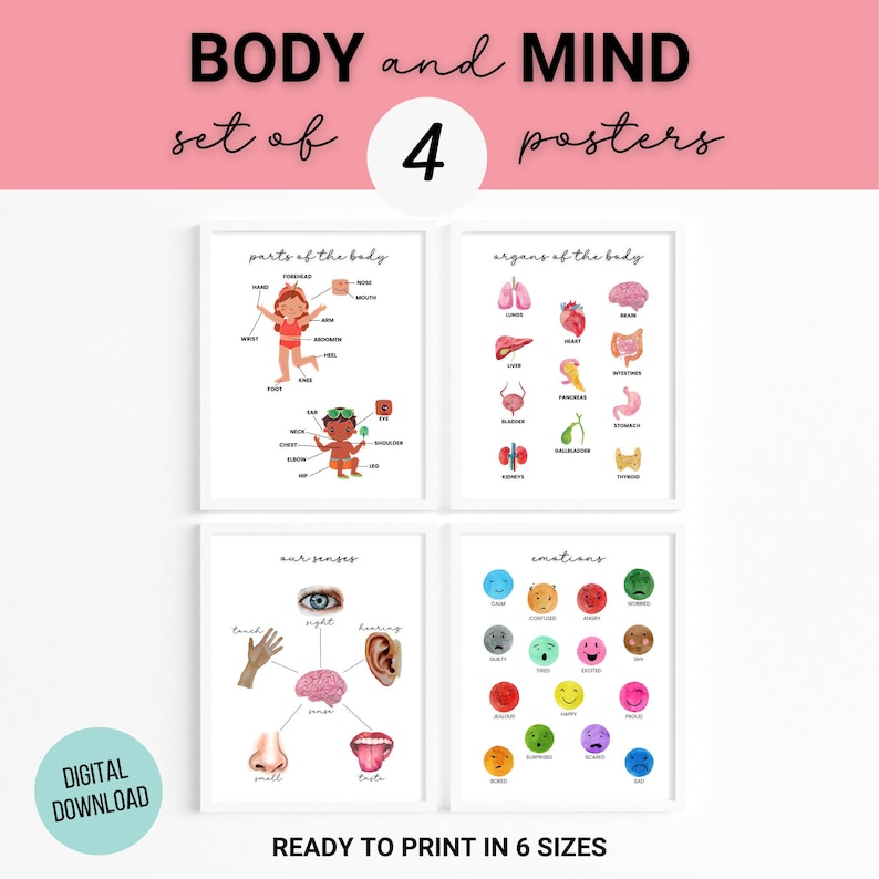 Body, Organs, Senses & Emotions - Set of 4 Watercolor Posters ...