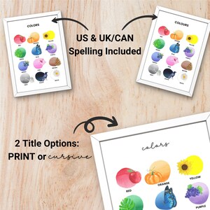 Watercolor Learning Posters: Alphabet, Numbers, Shapes (digital ...