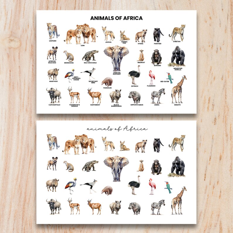 African Animals Poster & Flashcard Bundle, Wildlife Art Print ...