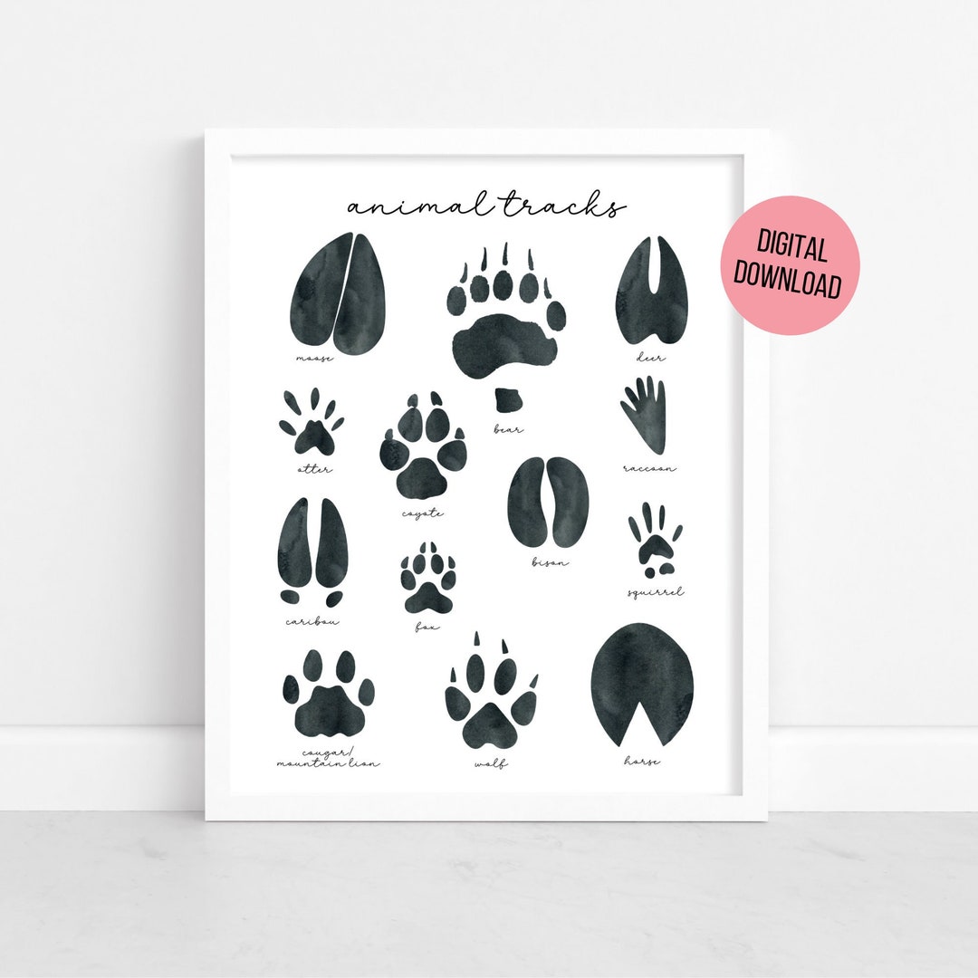 Watercolor Animal Tracks Poster Homeschool Printable Nature - Etsy