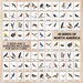 Watercolor North American Birds Flashcards: Montessori Learning ...