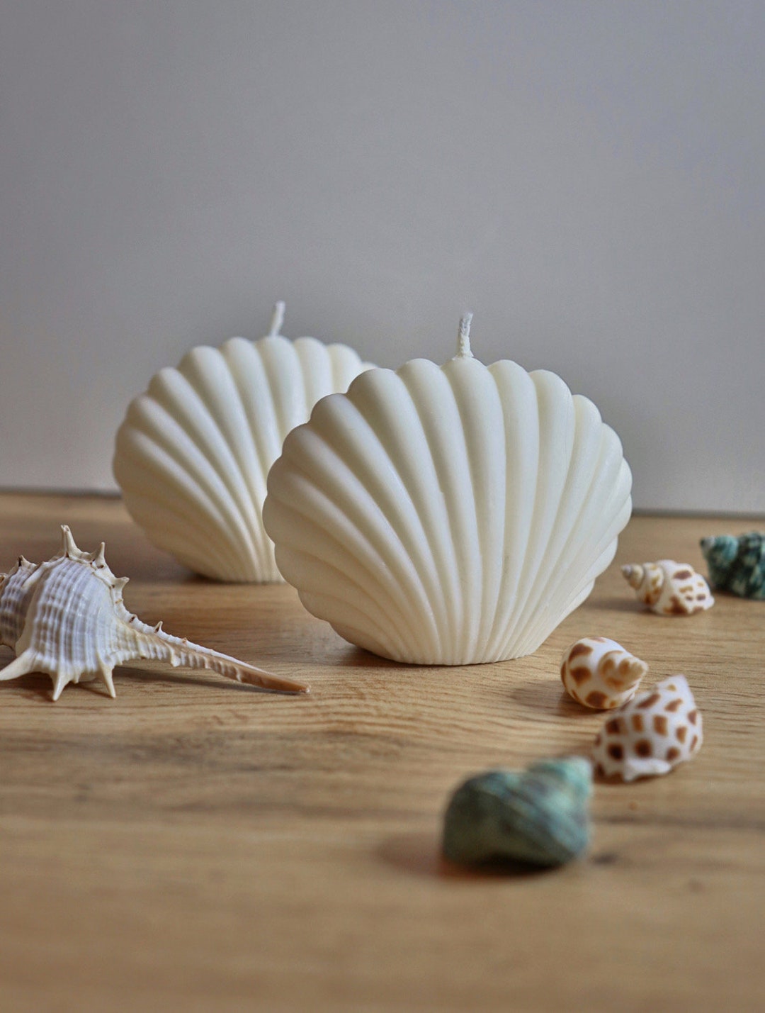 Large Shell Candle Decorative Candle Handmade Vegan Soy Wax Home Decor ...