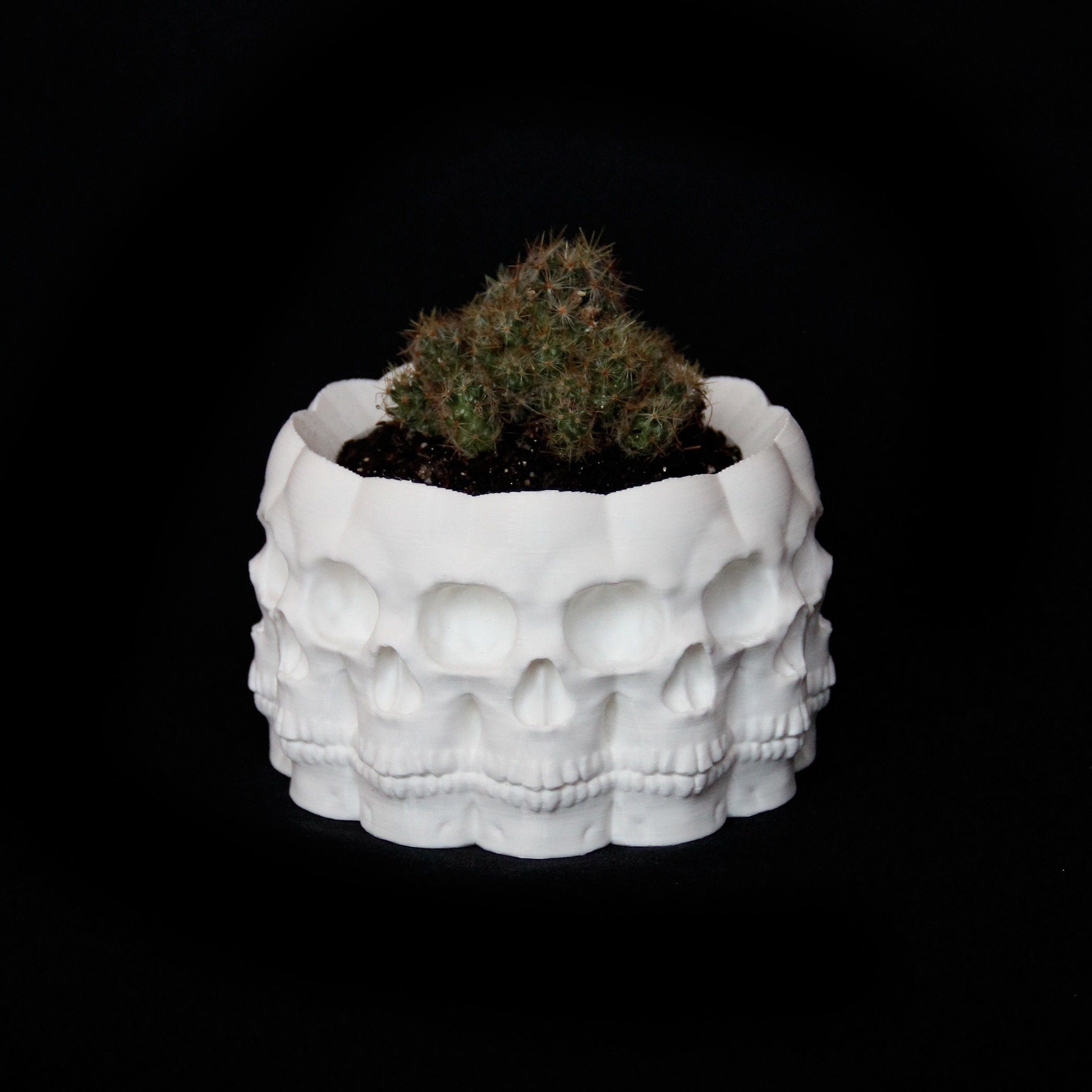Multiskull Planter, Multiface Pot, Cranium Flower Pot, Death's Head ...
