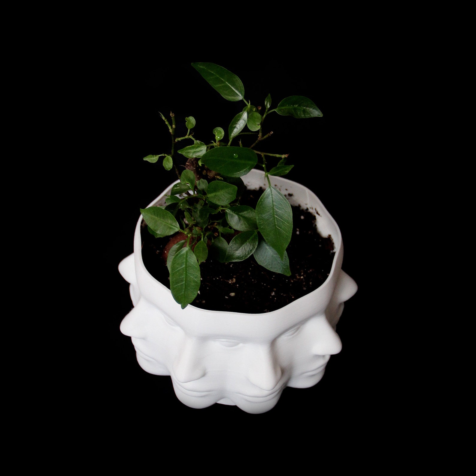 Polyface Planter Multiface Pot Face Flower Pot Head - Etsy