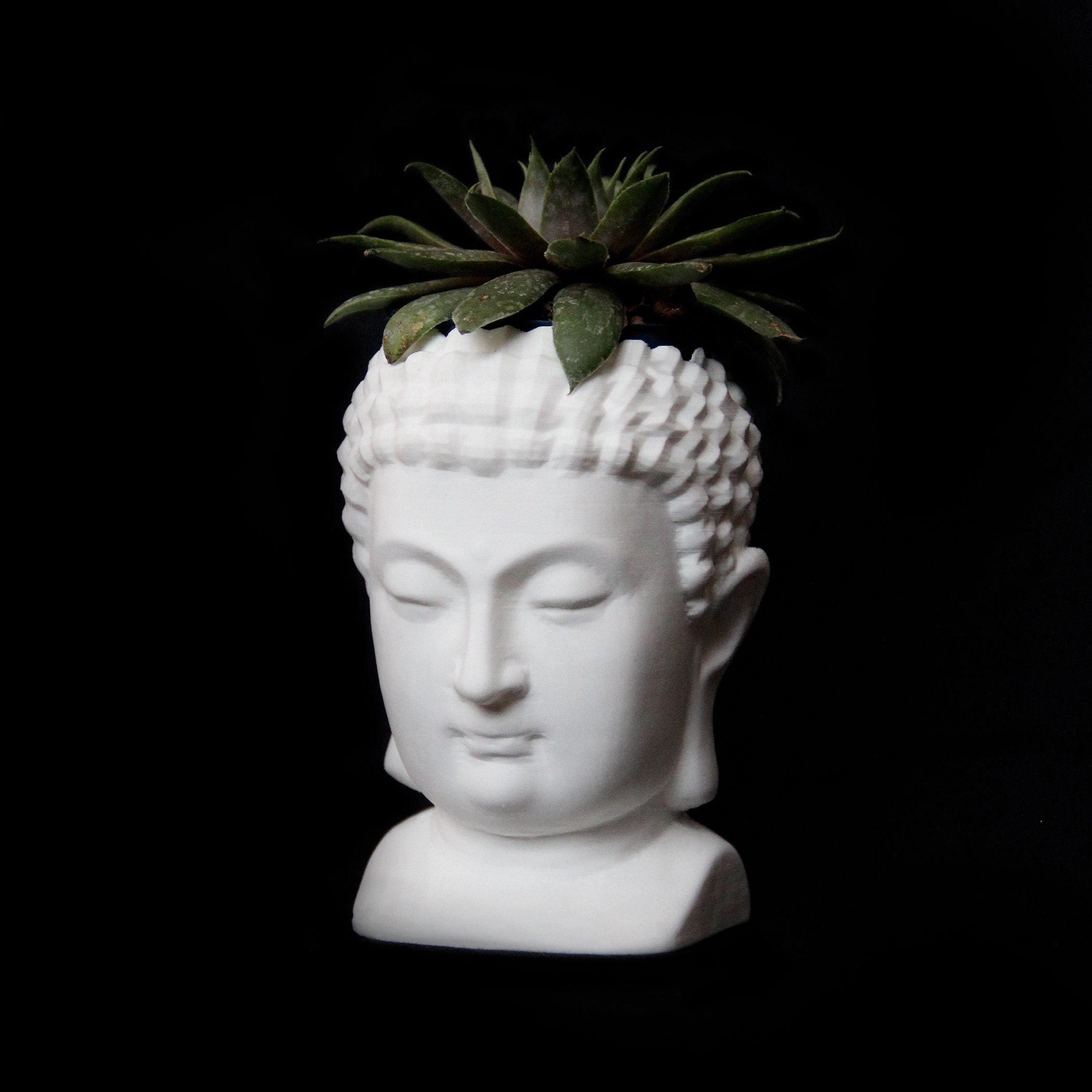 Buddha Head Planter Pot, Buddha Vase, Zen Mindfulness Decor, Buddhism ...