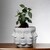 Polyface Planter, Multiface Pot, Face Flower Pot, Head Planter, Cute ...