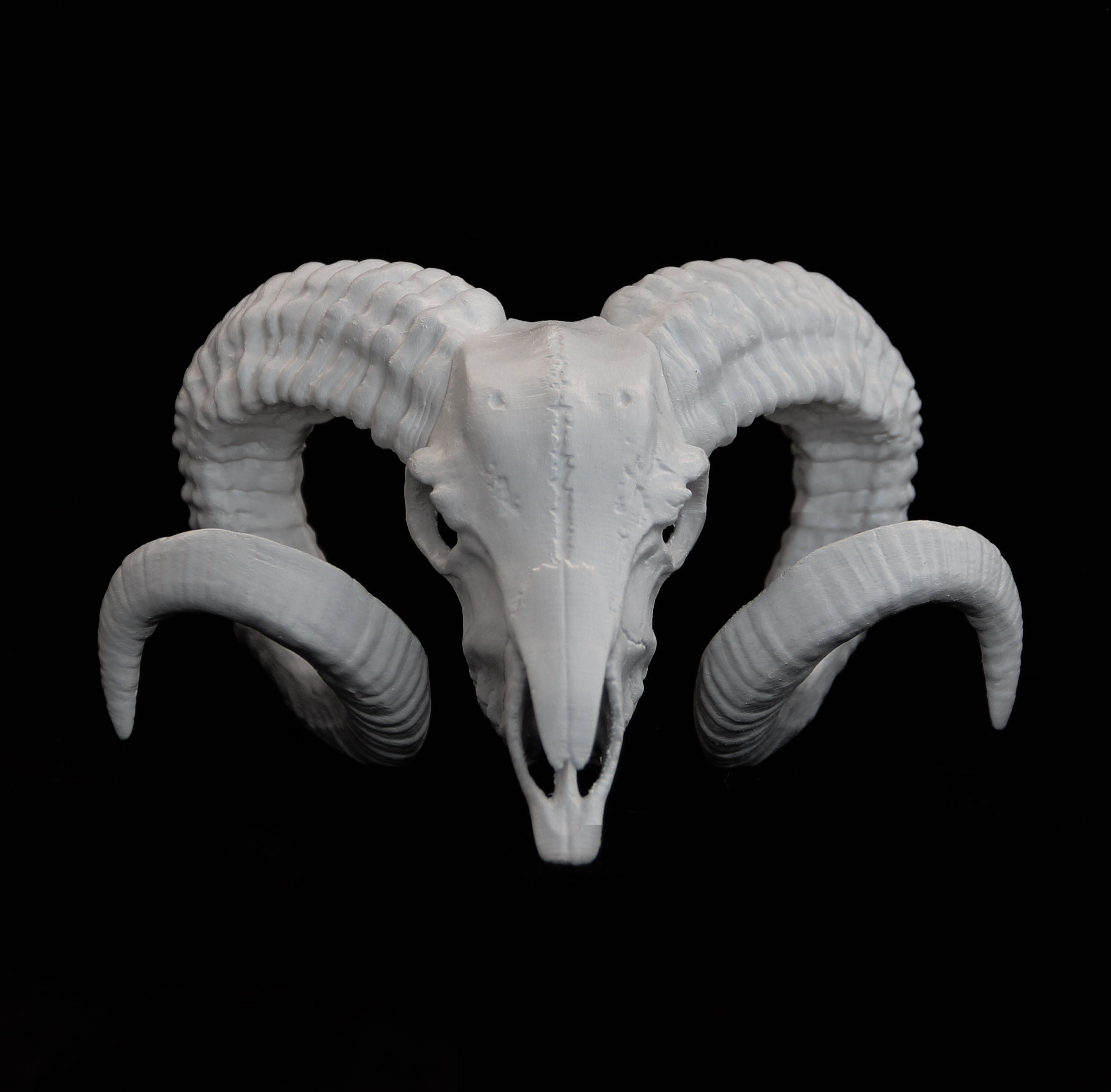 Ram Skull, Horn, Antler, Goat Skull, Animal Skull Ram Statue Horn Shelf ...