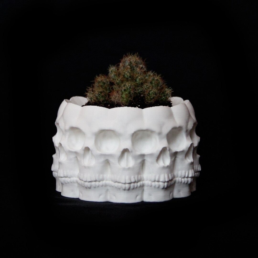 Multiskull Planter, Multiface Pot, Cranium Flower Pot, Death's Head ...