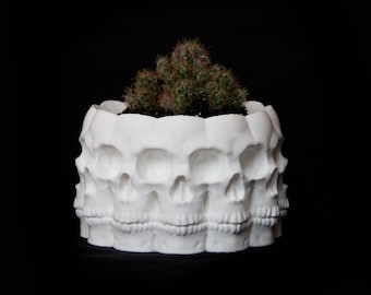 Polyface Planter, Multiface Pot, Face Flower Pot, Head Planter, Cute ...