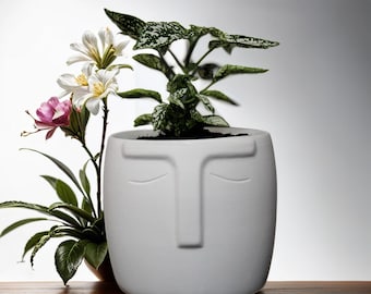 Polyface Planter, Multiface Pot, Face Flower Pot, Head Planter, Cute ...