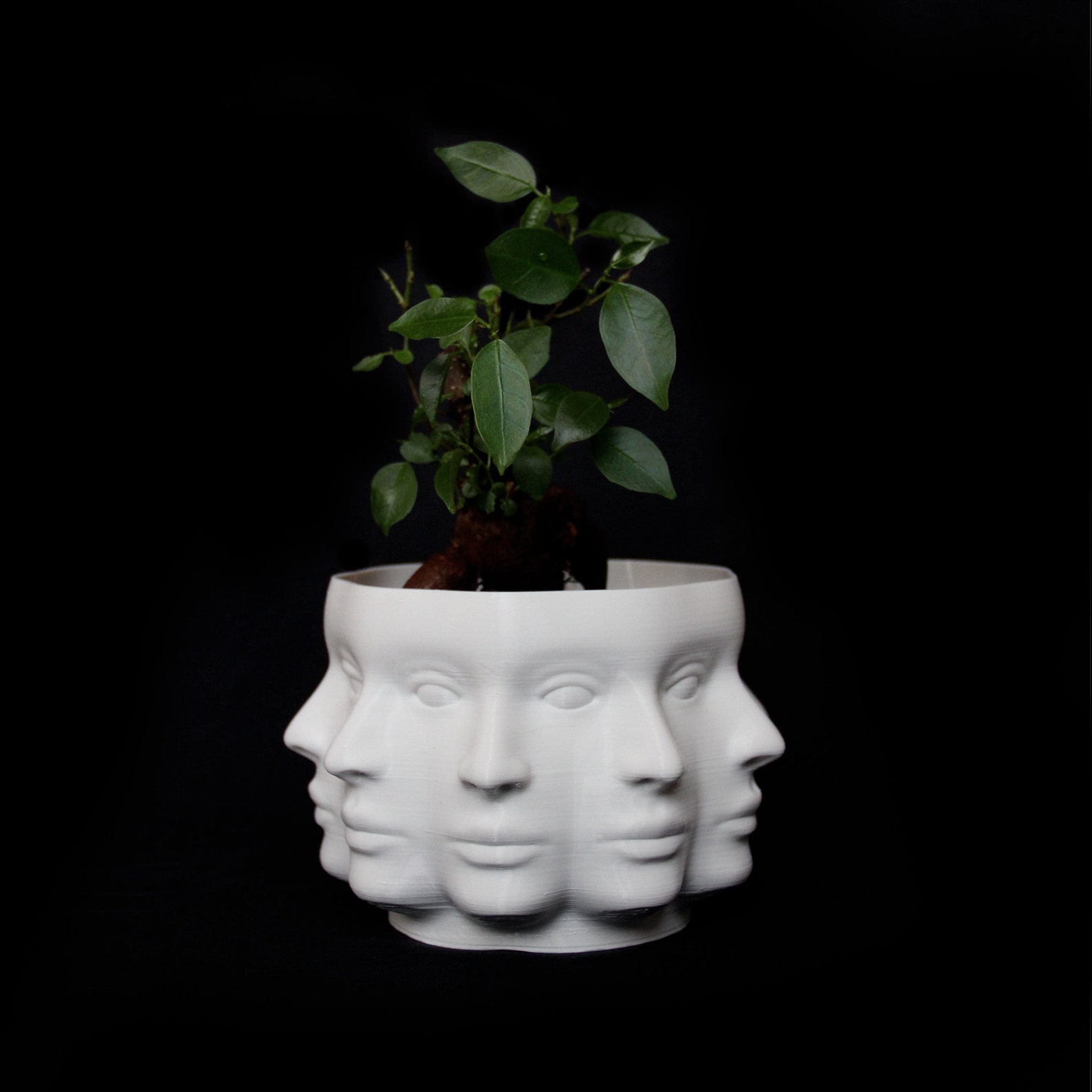 Polyface Planter, Multiface Pot, Face Flower Pot, Head Planter, Cute ...