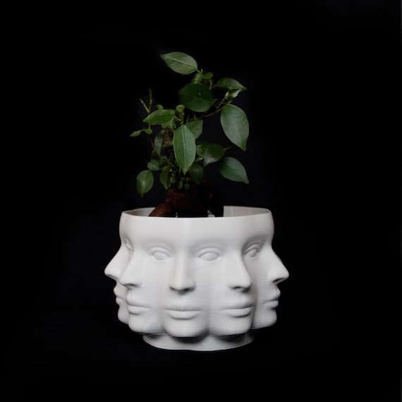 Polyface Planter Multiface Pot Face Flower Pot Head - Etsy