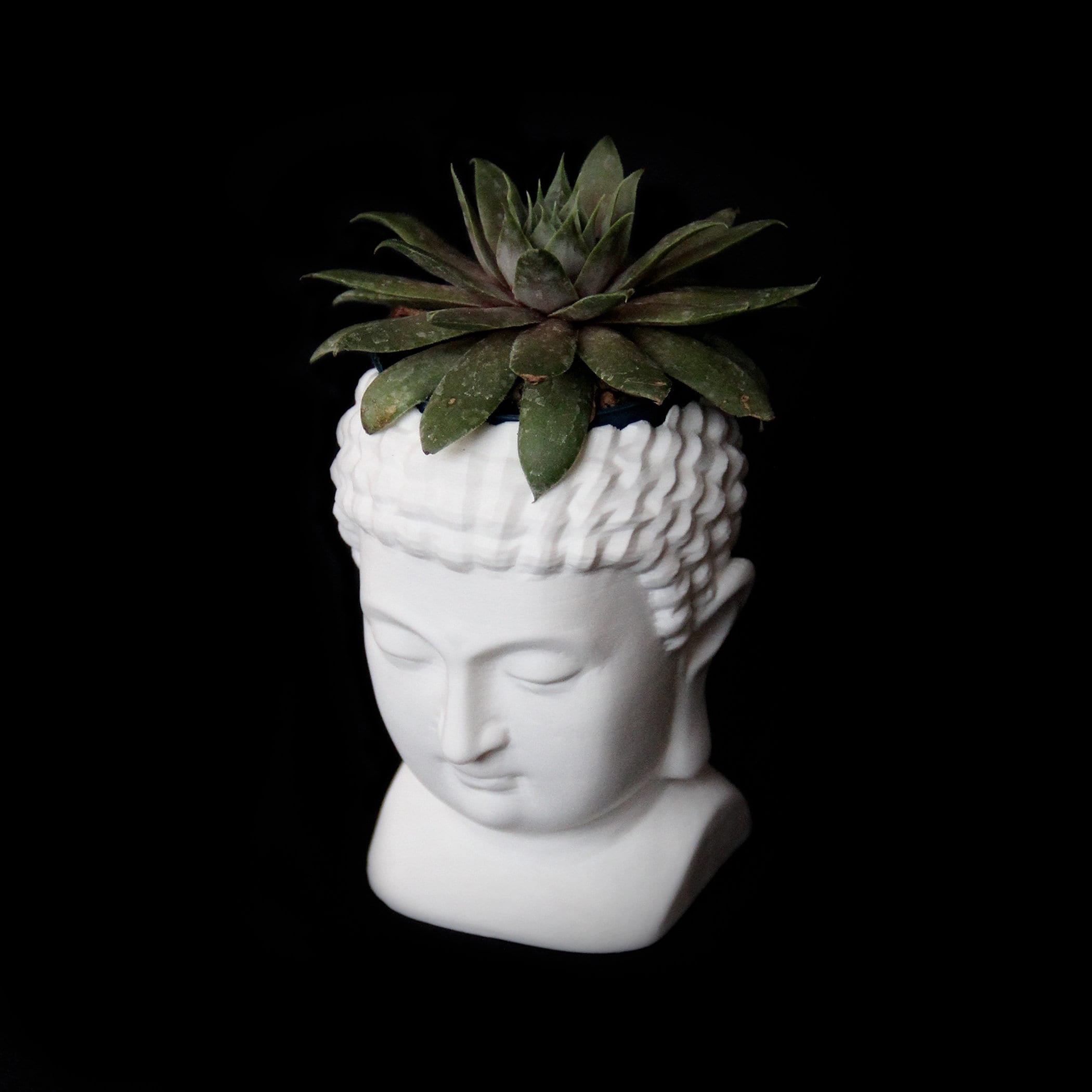 Buddha Head Planter Pot, Buddha Vase, Zen Mindfulness Decor, Buddhism ...