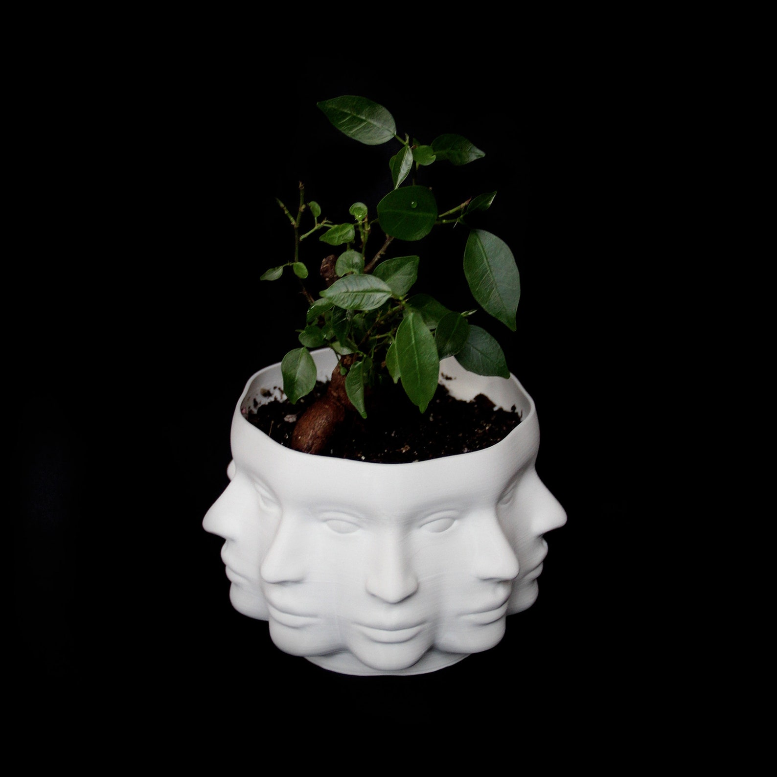 Polyface Planter, Multiface Pot, Face Flower Pot, Head Planter, Cute ...