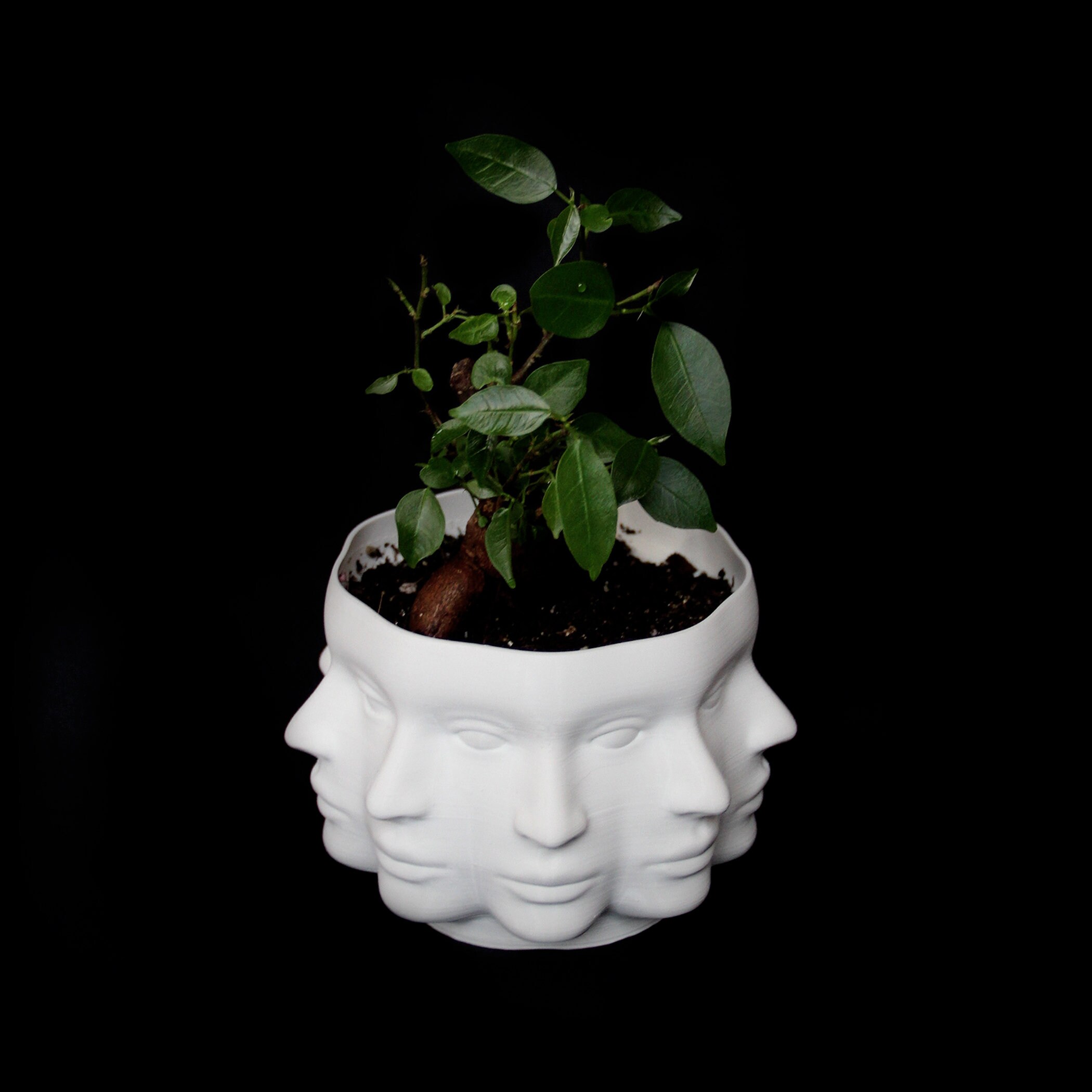 Polyface Planter, Multiface Pot, Face Flower Pot, Head Planter, Cute ...