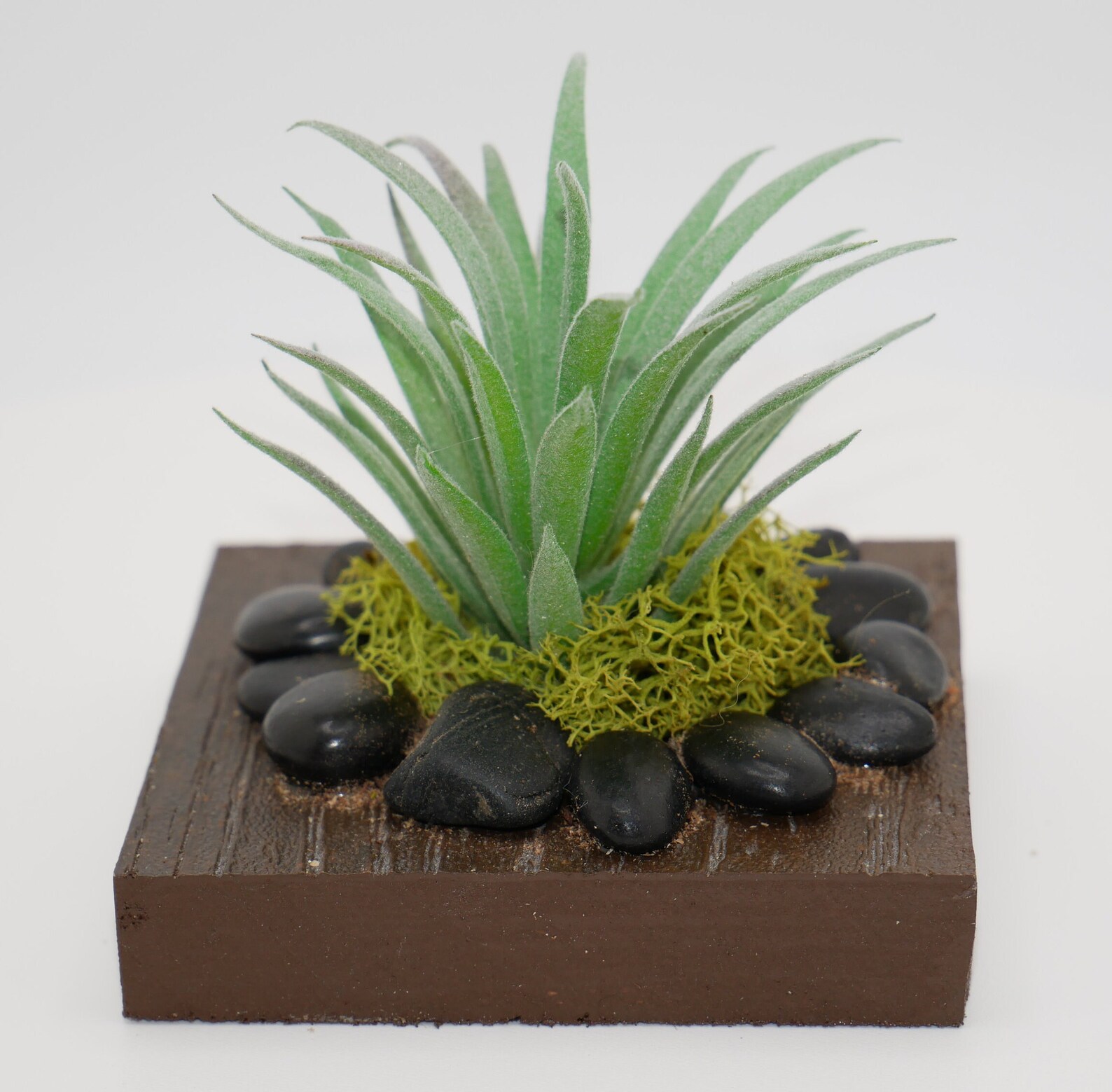 Mini Fake Air Plant, Air Plant Display, Air Plant Holder, Office ...
