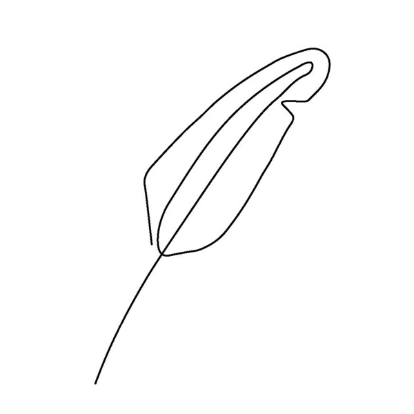 Single Feather Svg - Etsy