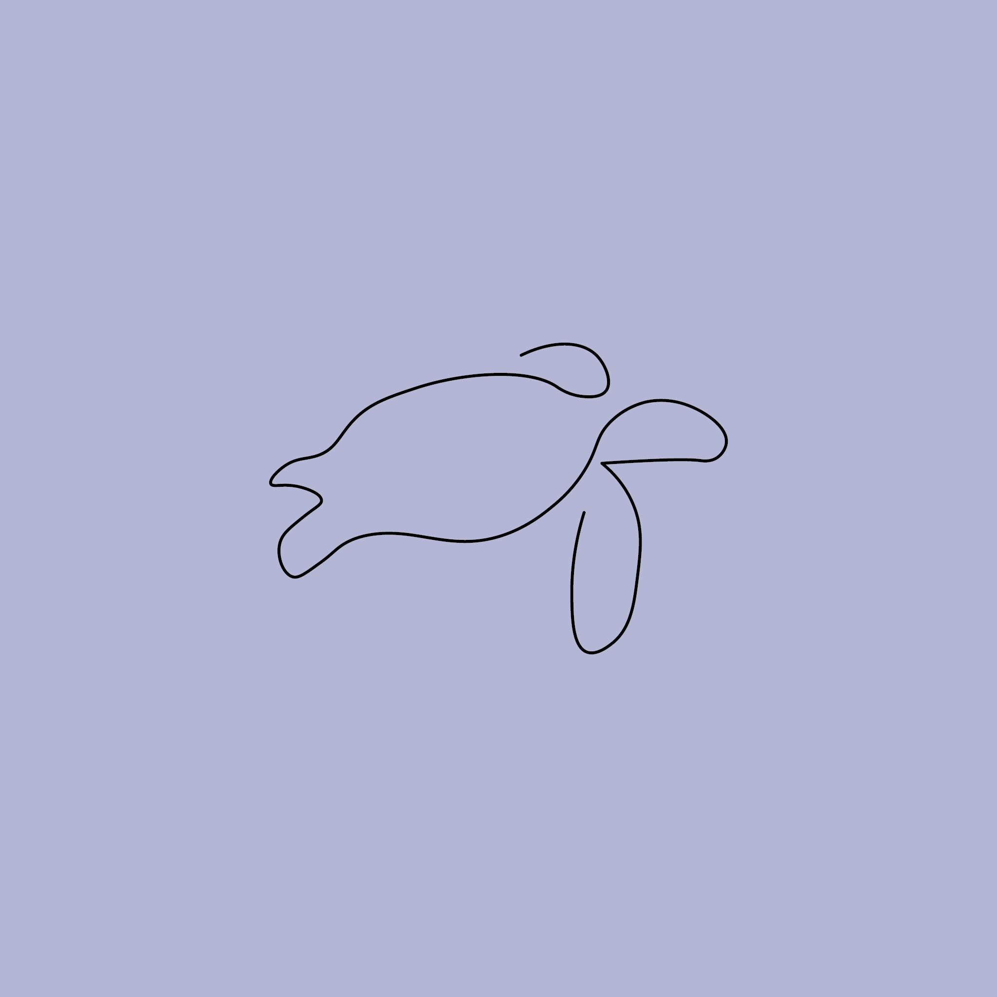 Single Line Turtle Drawing - Tattoo Idea - SVG - PNG - PDF - Graphic ...