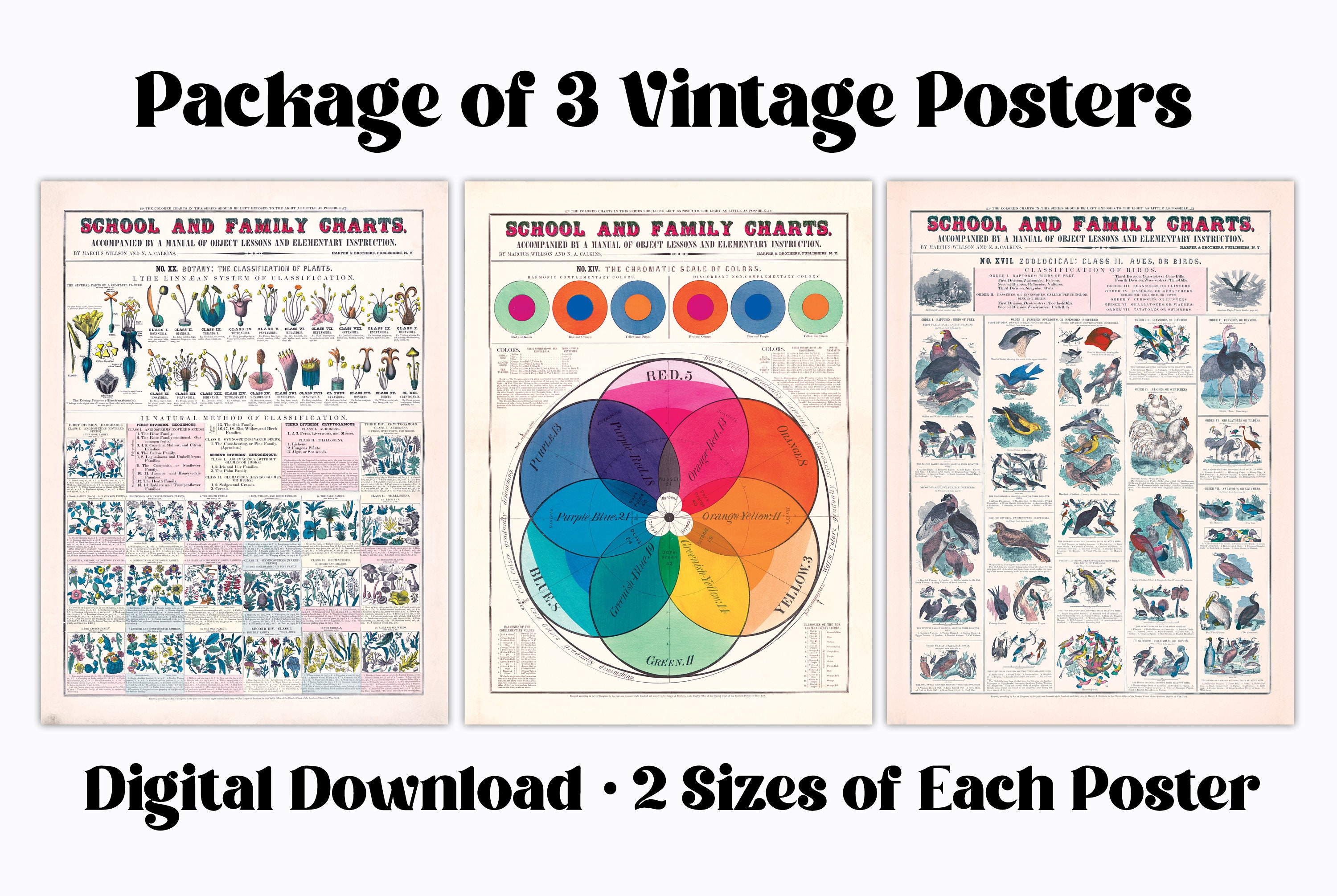 Set of 3 Vintage Classroom Posters - Classroom Printable Wall Art ...