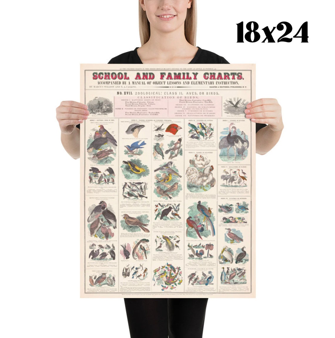 Vintage Spectrum Color Theory Poster - Historic Lithograph - Art ...