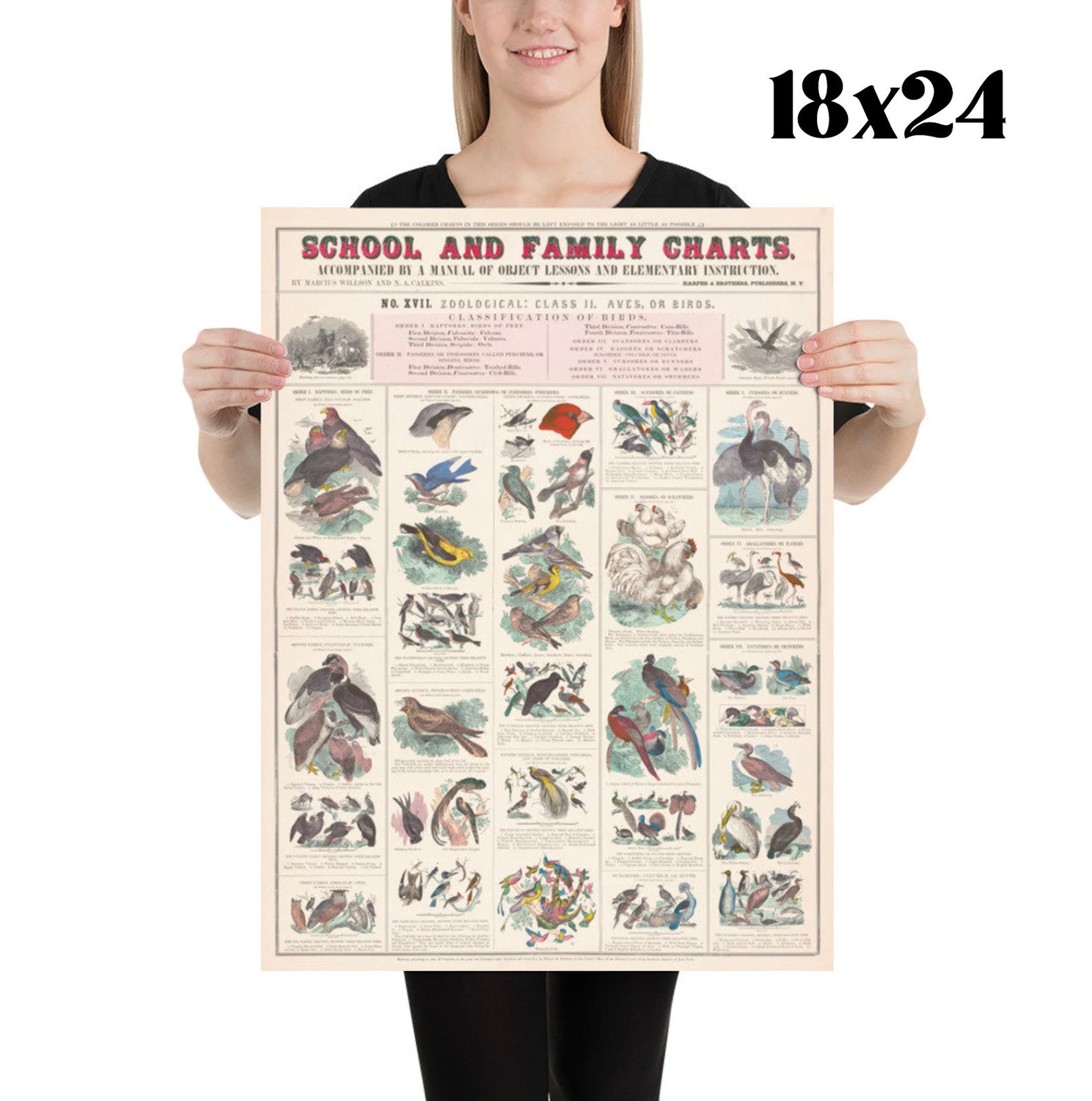 Vintage Spectrum Color Theory Poster - Historic Lithograph - Art ...