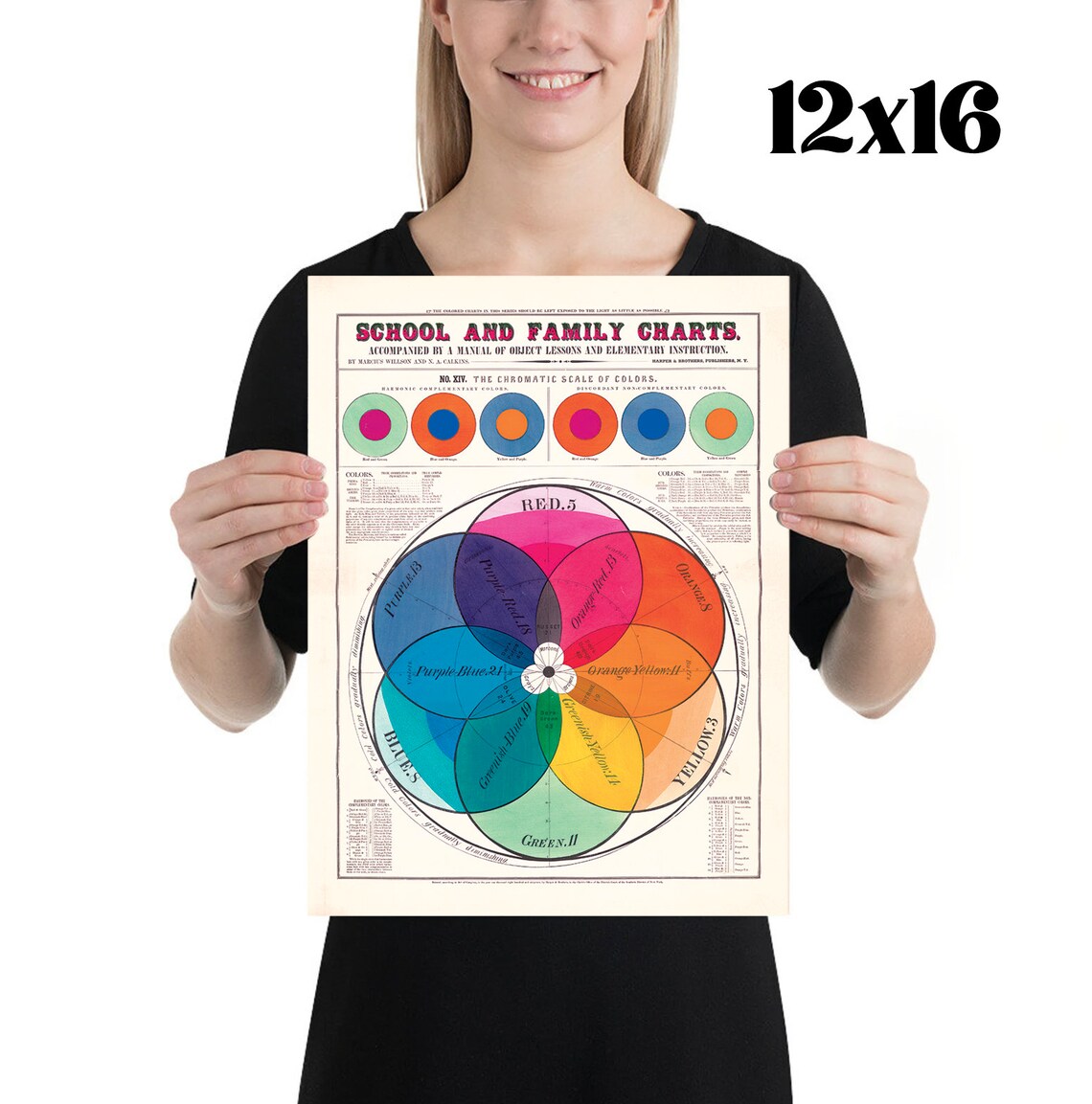 Vintage Spectrum Color Theory Poster Historic Lithograph Art Classroom ...