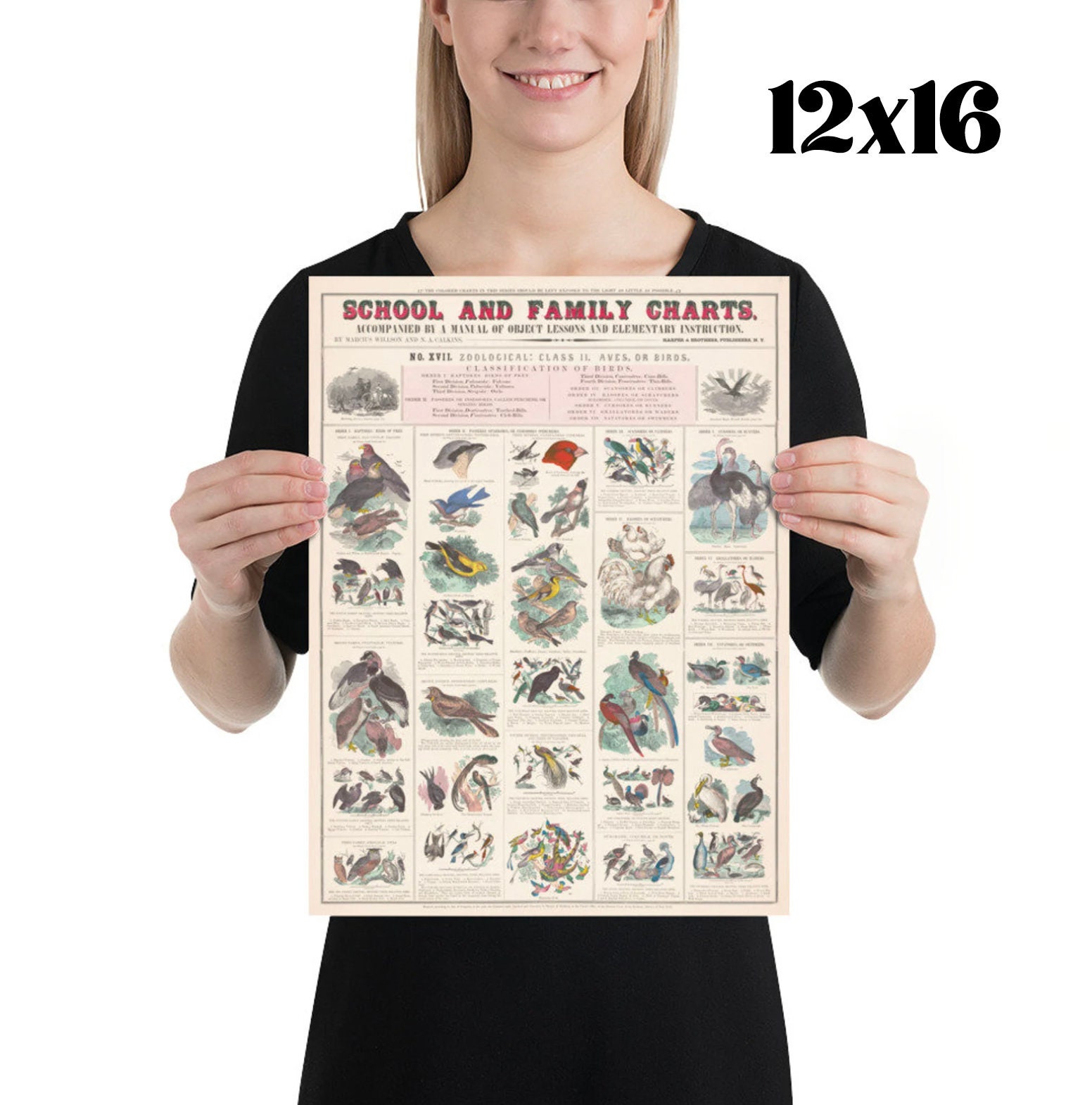 Vintage Spectrum Color Theory Poster - Historic Lithograph - Art ...