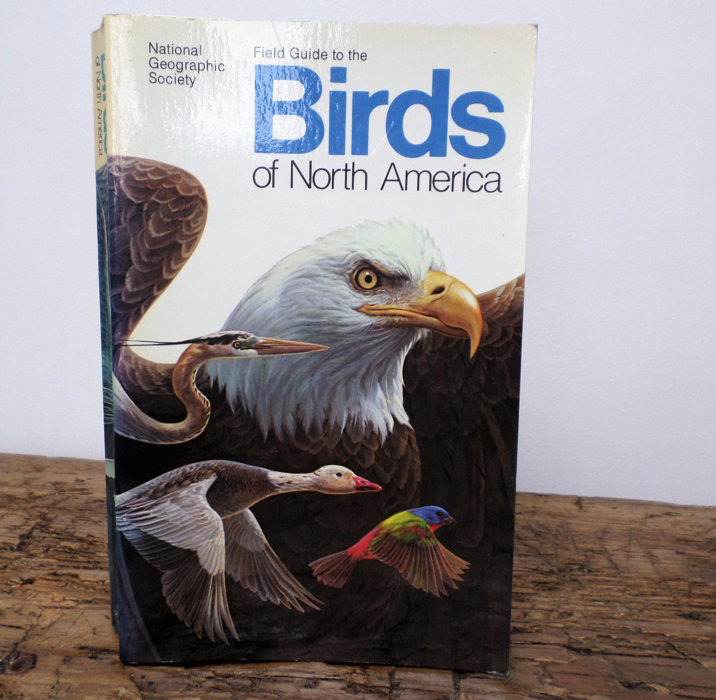 Bald Eagle Audubon Field Guide View Bald Eagles On The Arkansas River