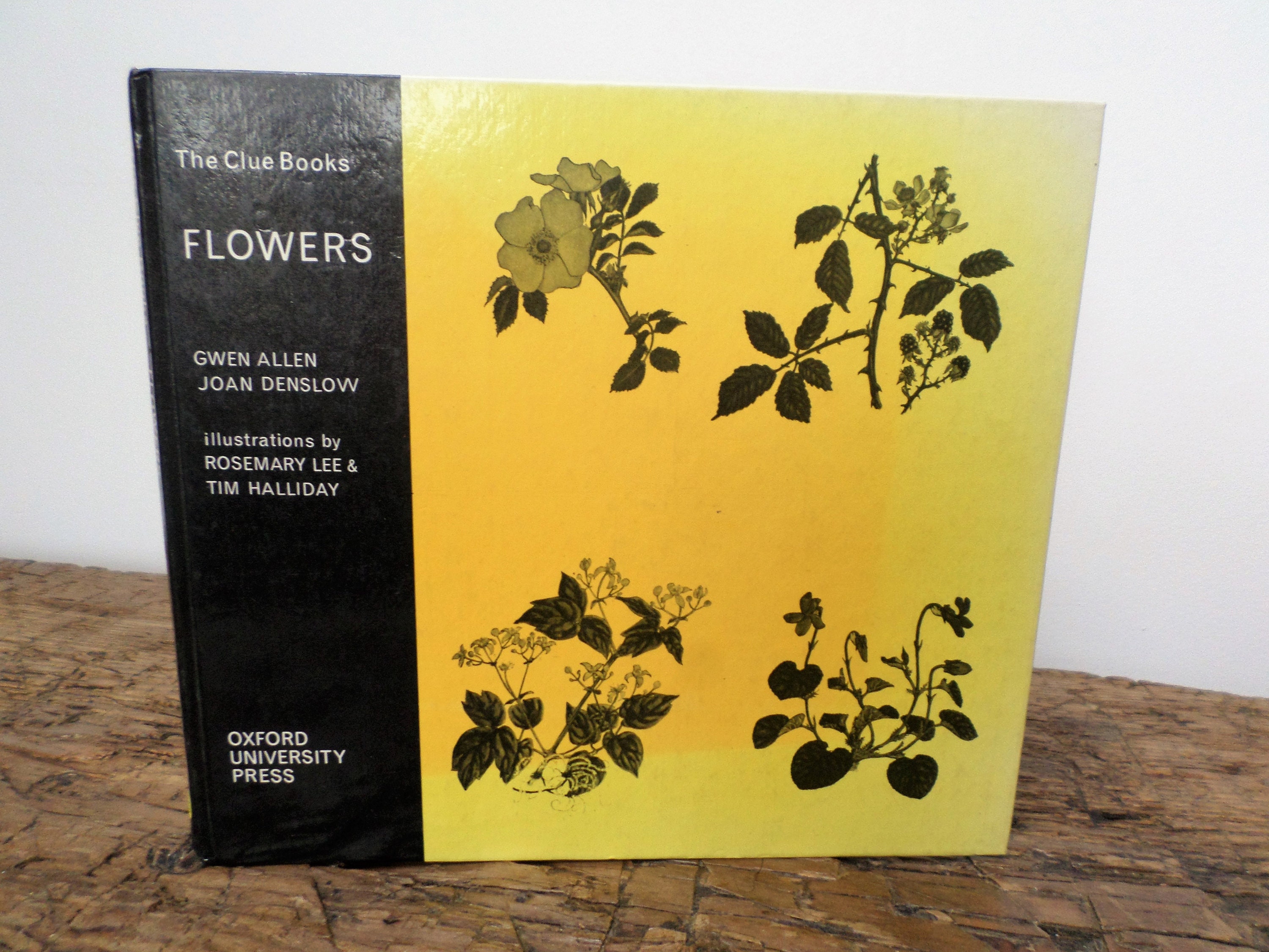 Los libros de pistas: flores de Gwen Allen y Joan Denslow - Etsy México