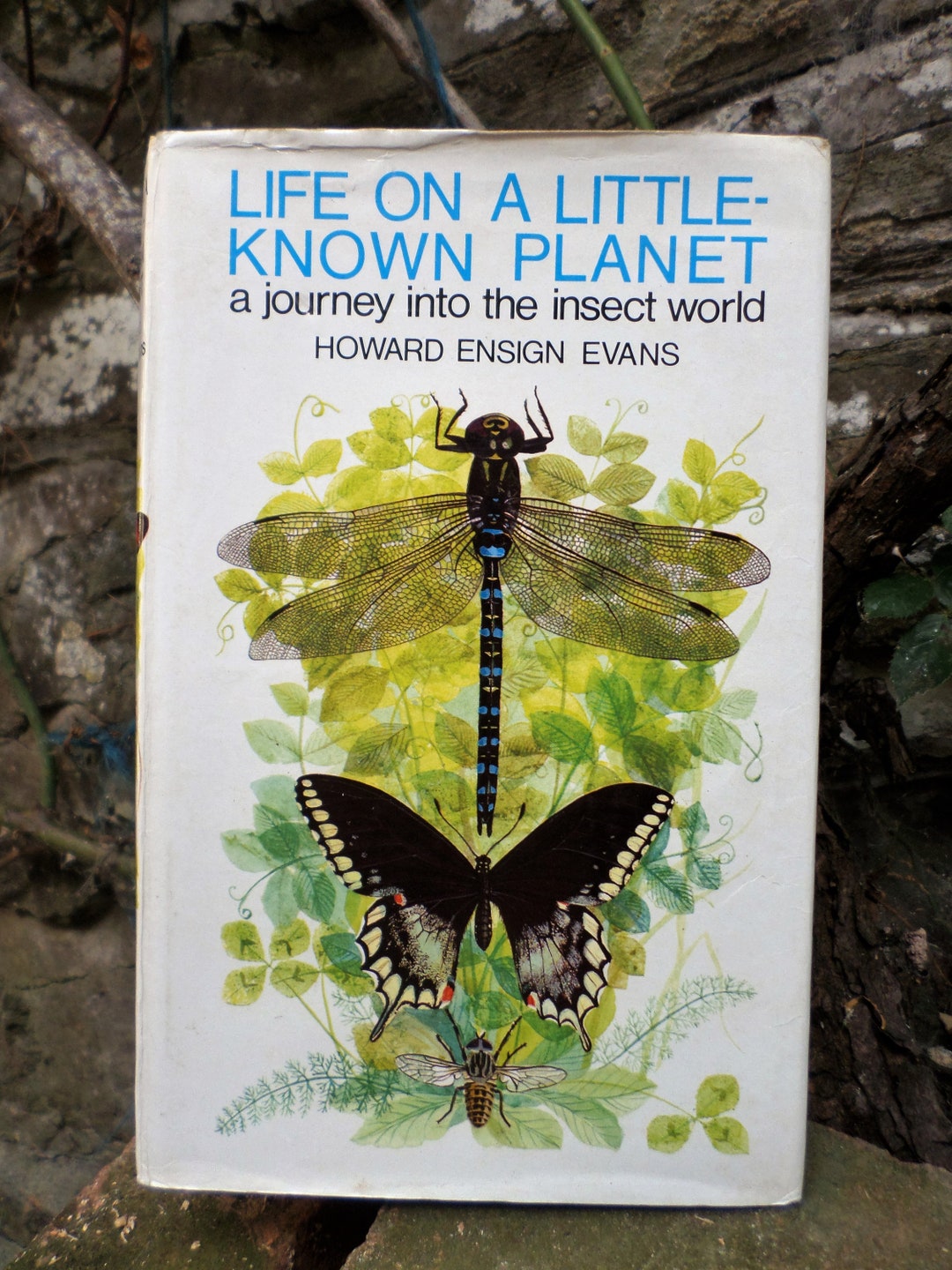 Life on a Little-known Planet: A Journey Into the Insect World by ...