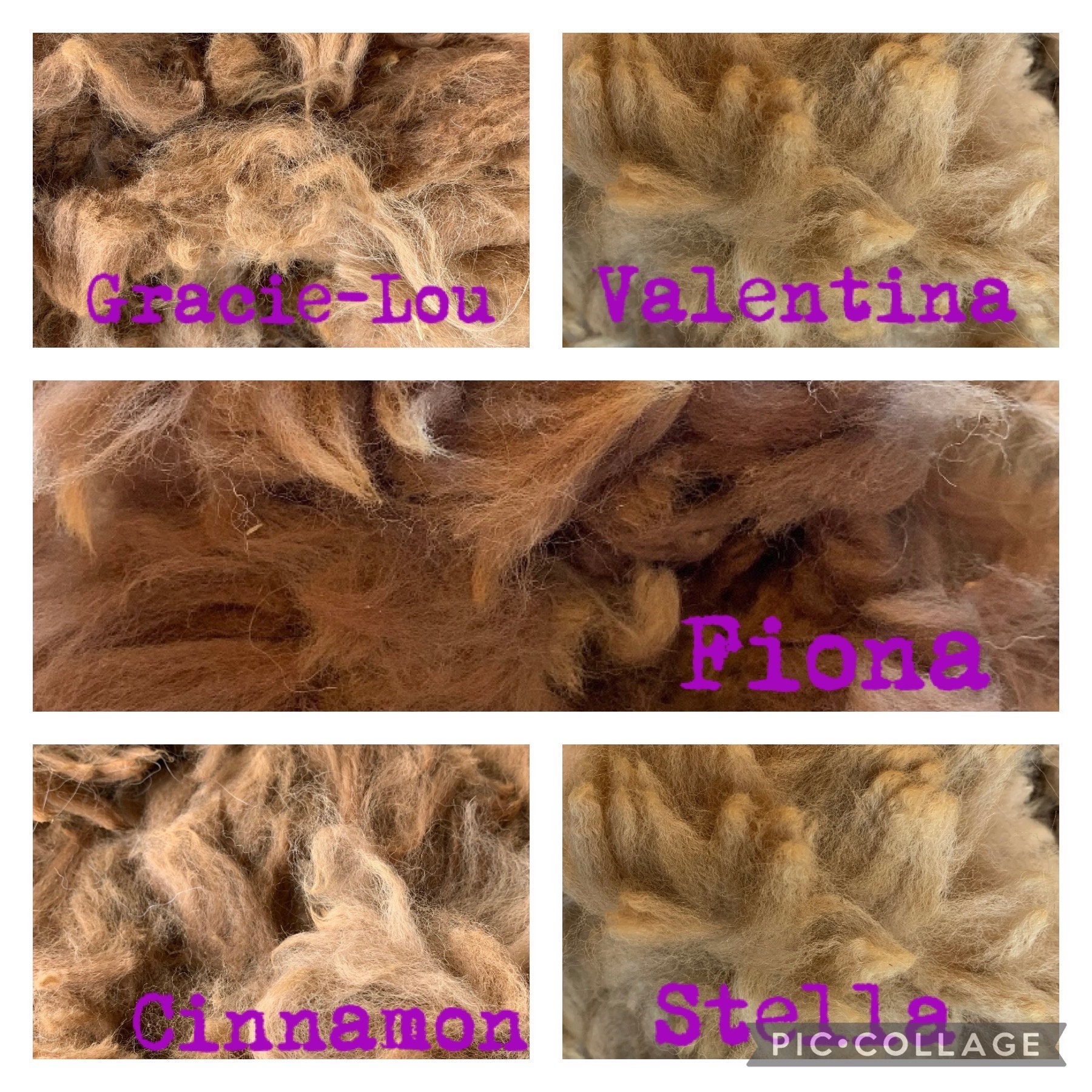 Raw Alpaca Fiber Seconds - Etsy