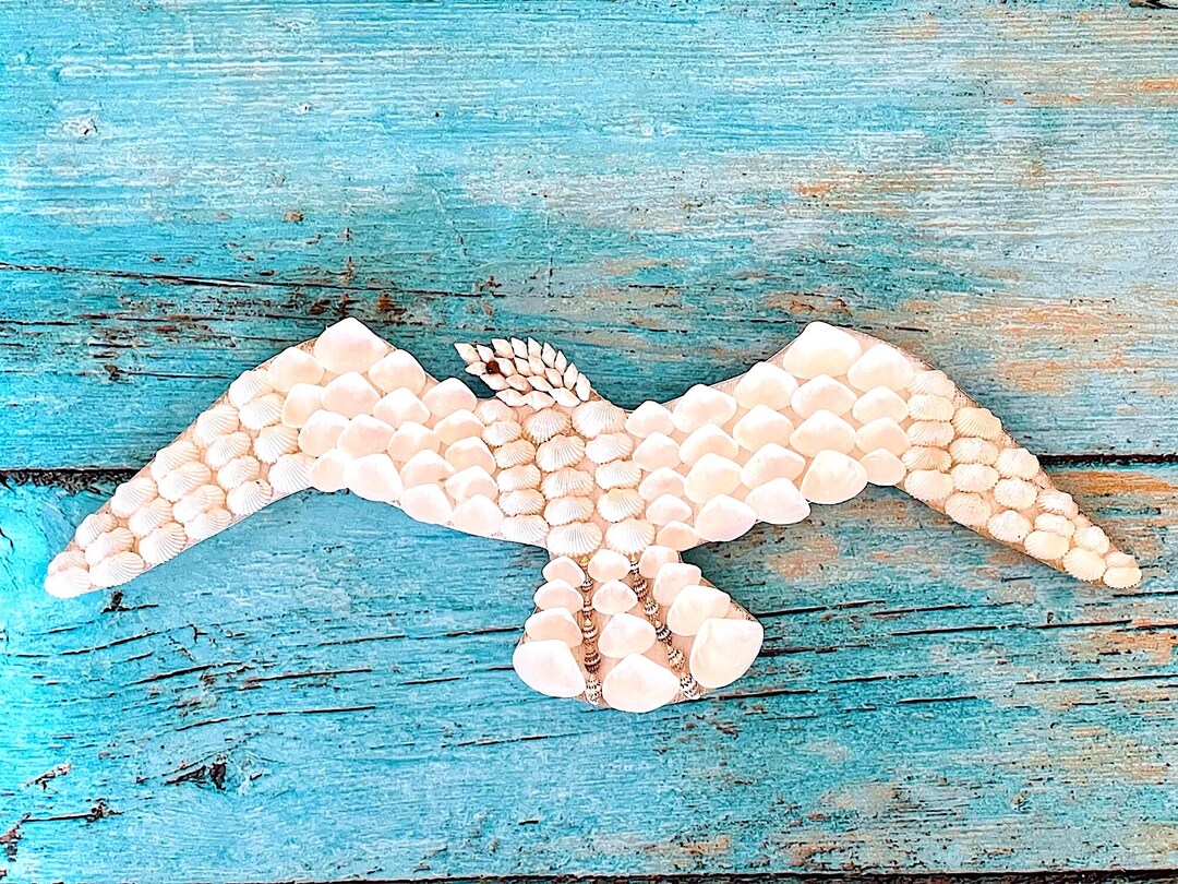 Wall Decor Seashell Bird, Shell Wall Art, Seagull Wall Hanging, Coastal ...