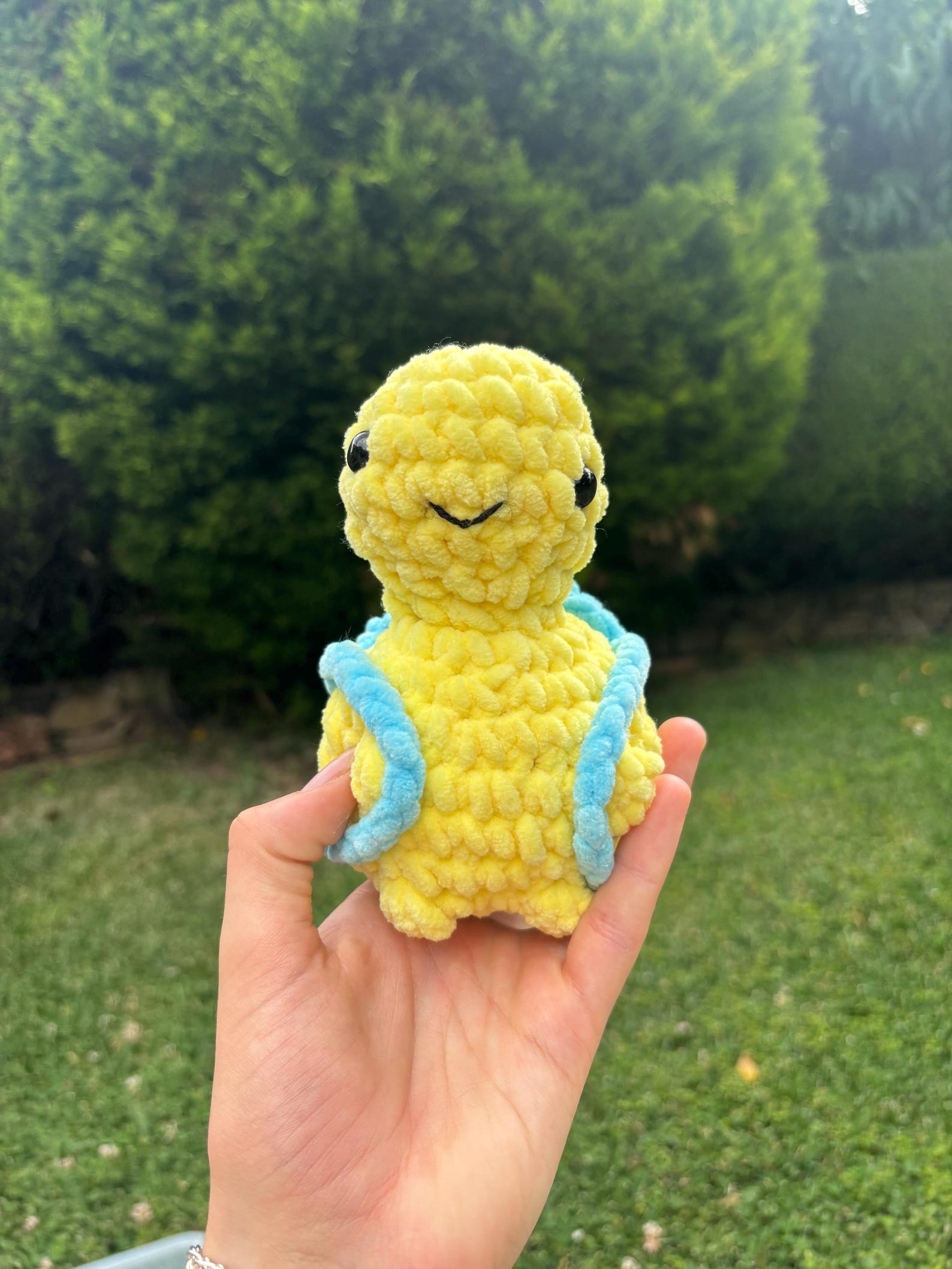 Crochet Cheeky Turtle Plushie - Etsy