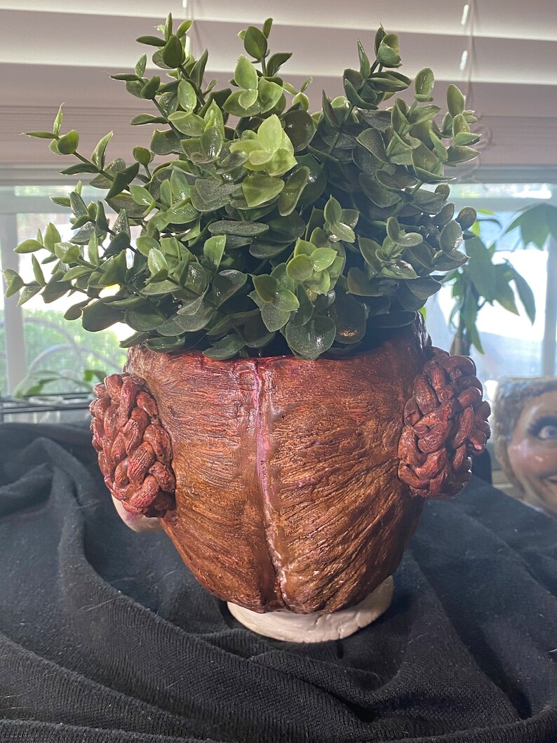 Lucy” Face Flower Pothead Planters - Etsy