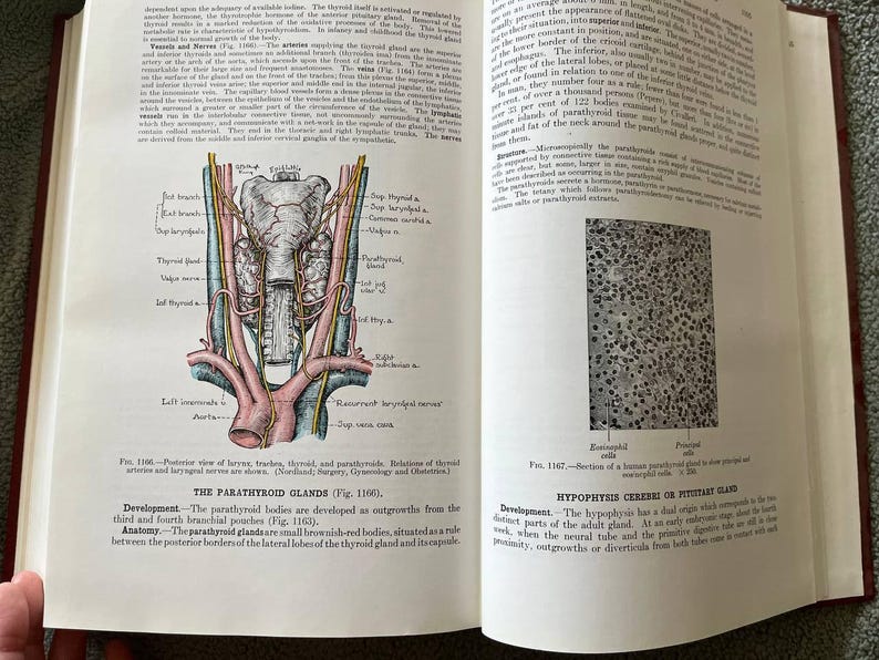 Vintage Medical Textbook, Anatomy of the Human Body by Henry Gray 27th ...