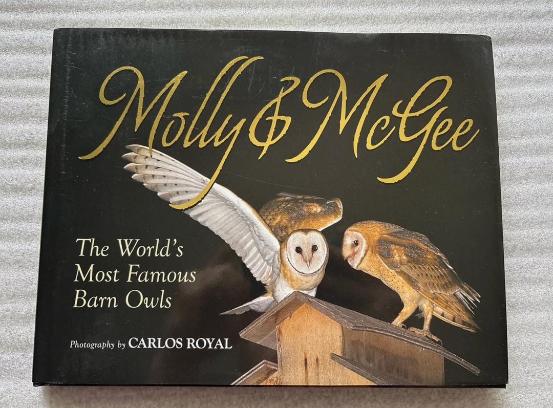 The World's Most Famous Barn Owls, Owl Photography, Animal Life, SIGNED ...