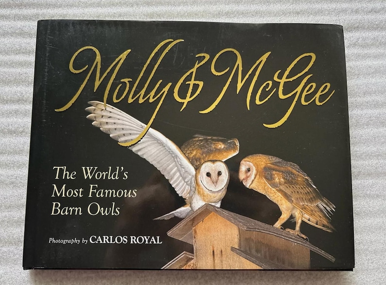 The World's Most Famous Barn Owls, Owl Photography, Animal Life, SIGNED ...