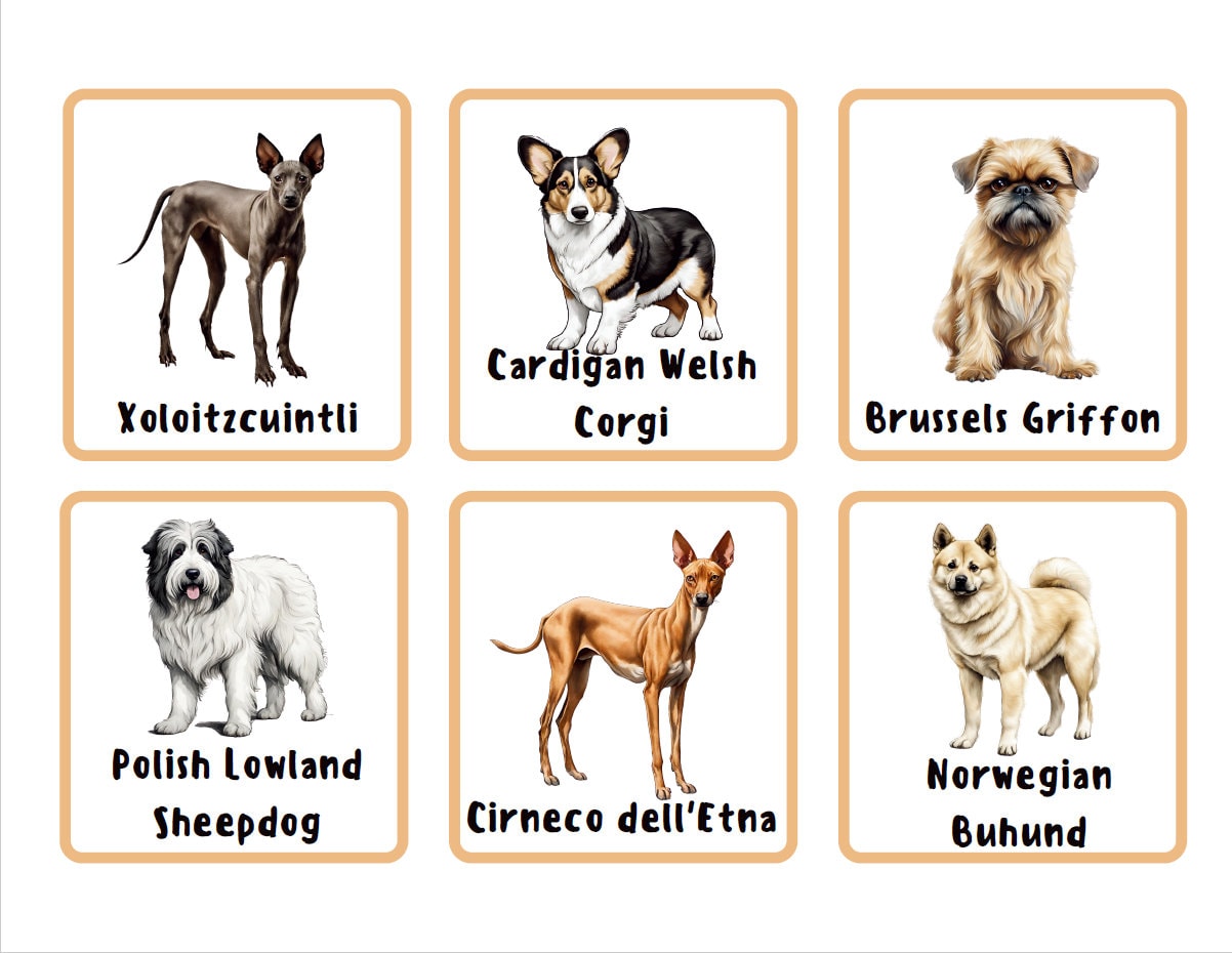 Dogs Flash Cards for Kids: Printable PDF Eco-friendly Home - Etsy