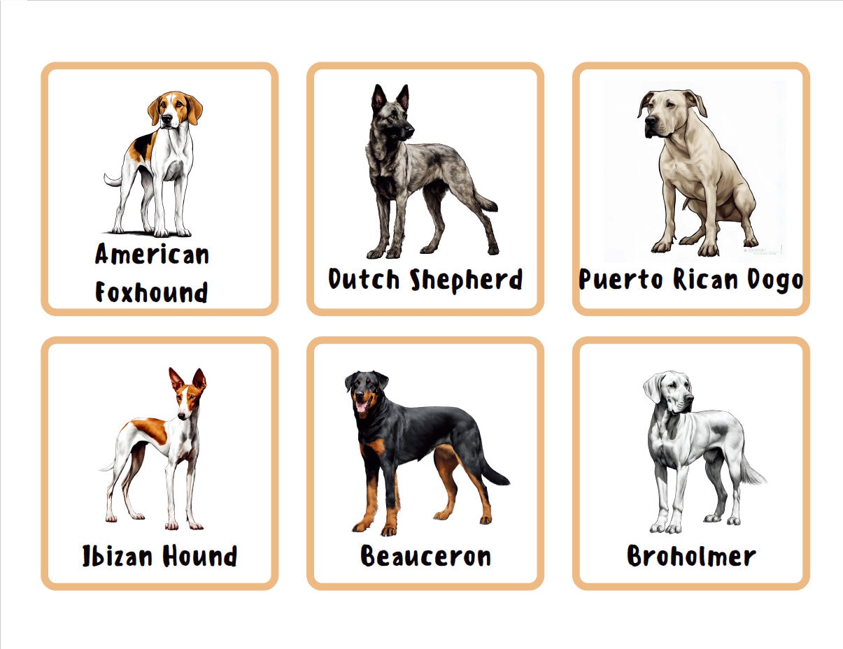 Dogs Flash Cards for Kids: Printable PDF Eco-friendly Home - Etsy
