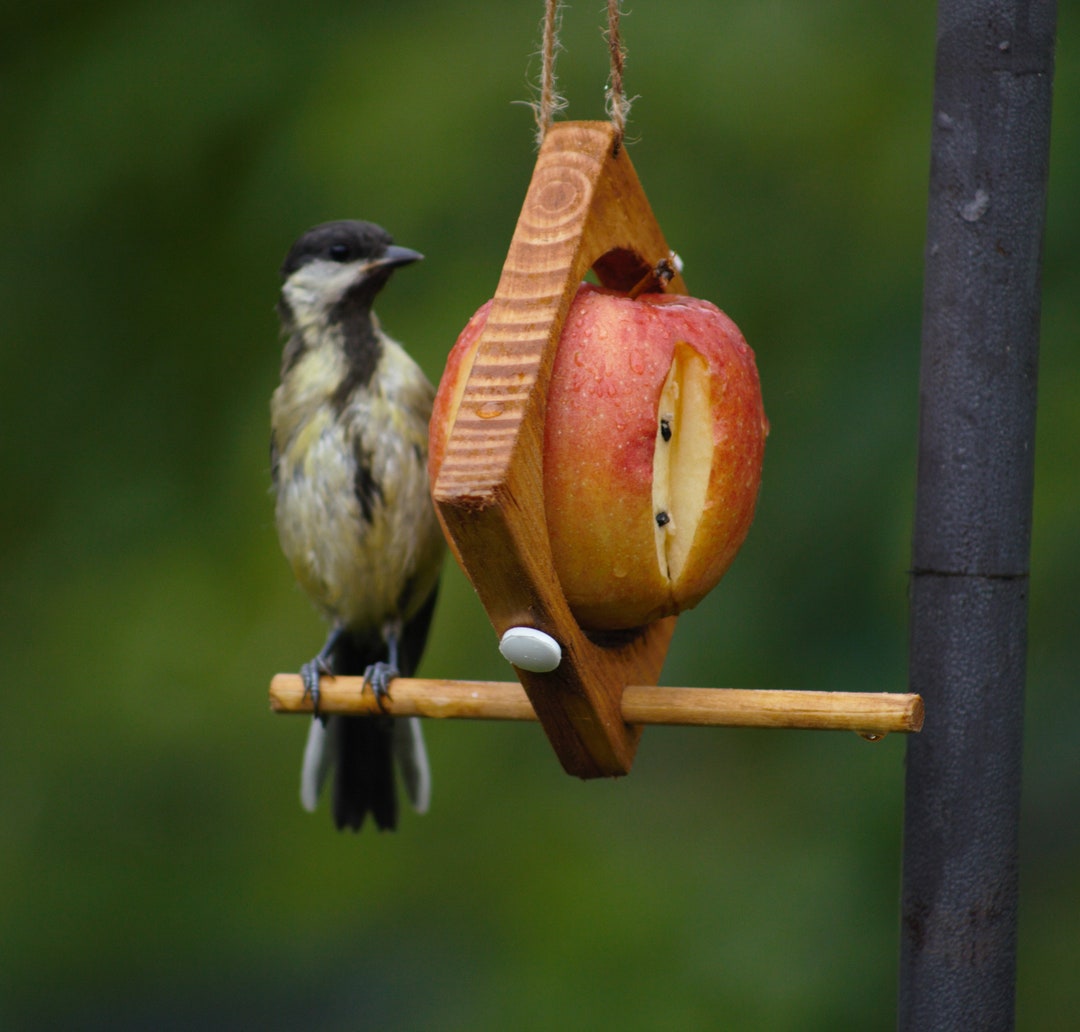Fruit Bird Feeder Ideal for Garden Hanging Fruit Feeder for - Etsy