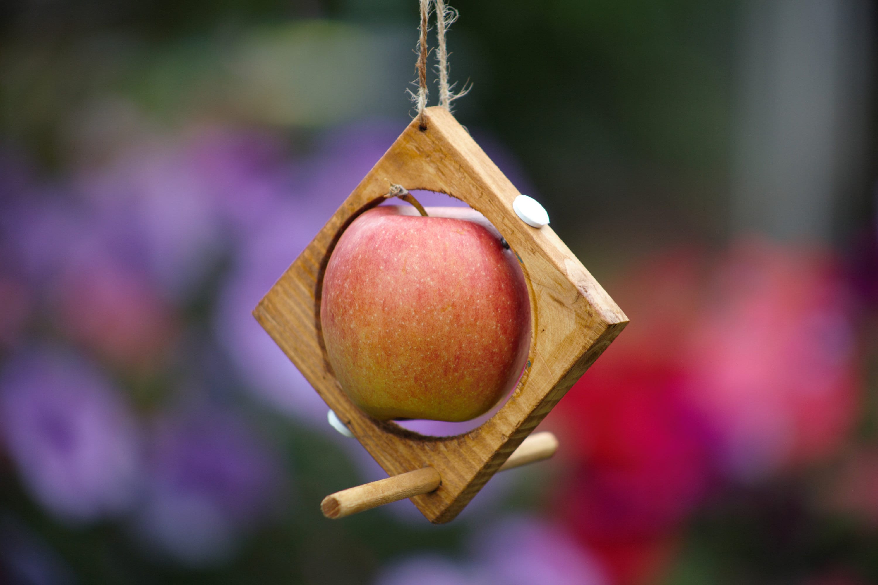 Fruit Bird Feeder Ideal for Garden Hanging Apple Feeder Bird Lovers ...