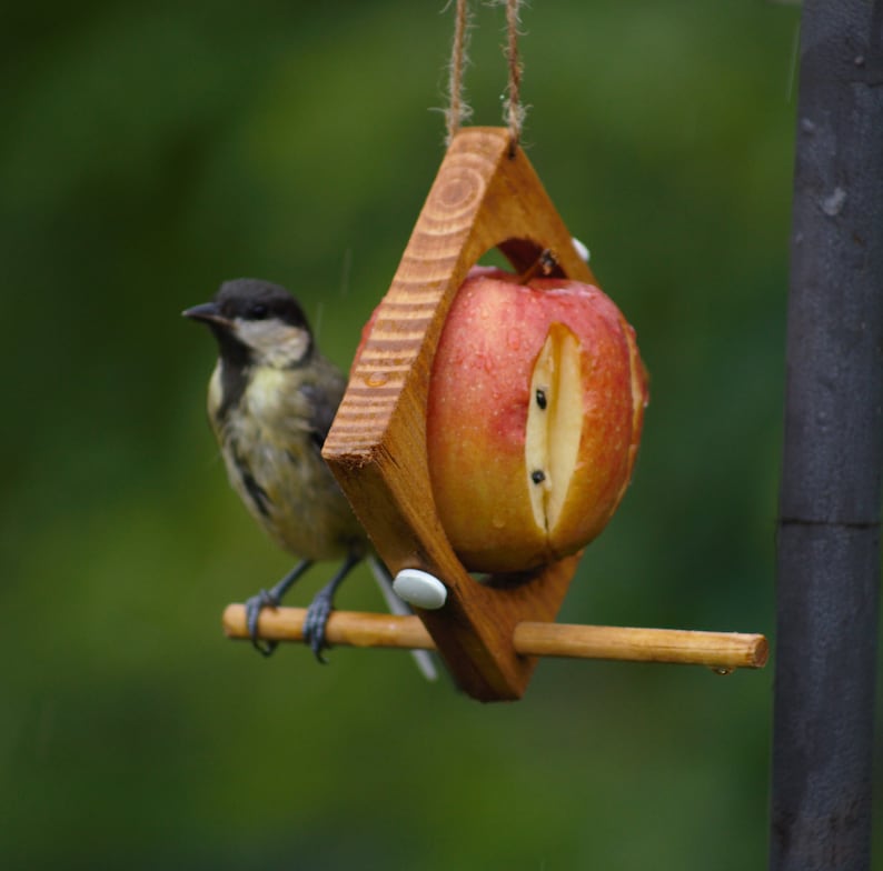 Fruit Bird Feeder Ideal for Garden Hanging Apple Feeder Bird Lovers ...